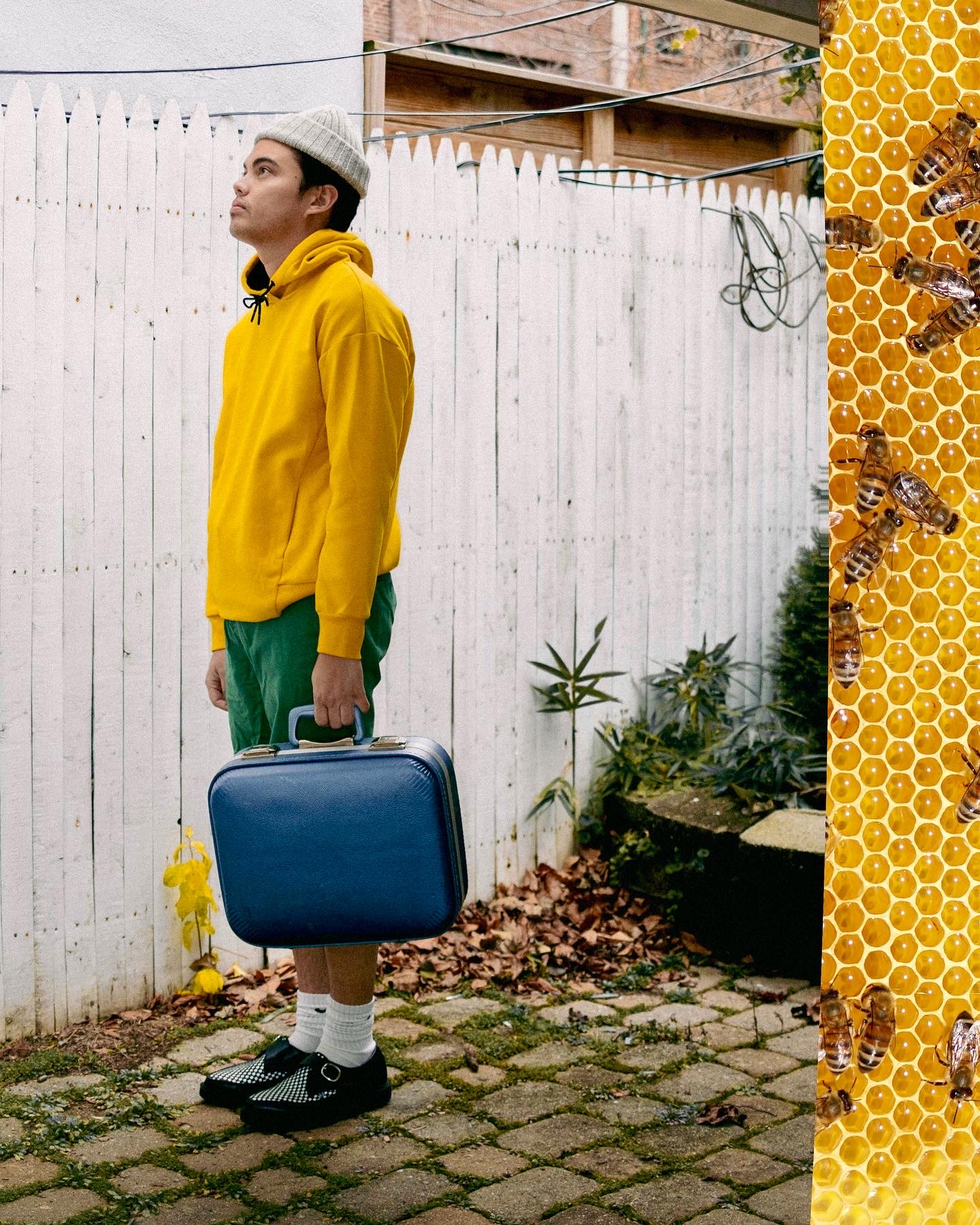 Tim Atlas Returns with "Honeycomb" (Out Today via Nettwerk) - Nettwerk ...