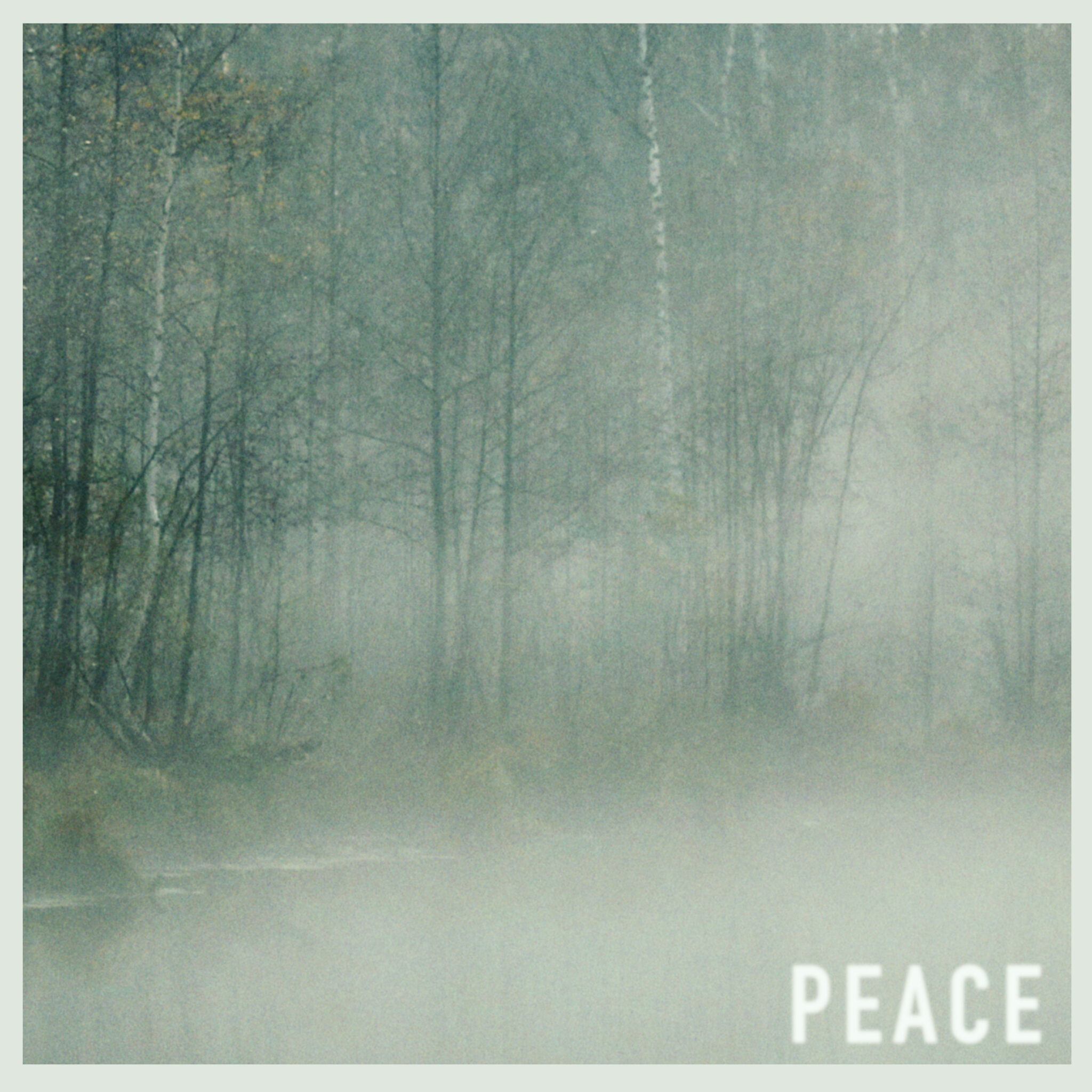 Roses & Revolutions Trace The Cycles and Seasons Of Love, Heartbreak ...